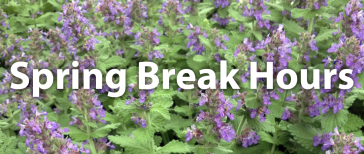 K-State Student Union | Kansas State University